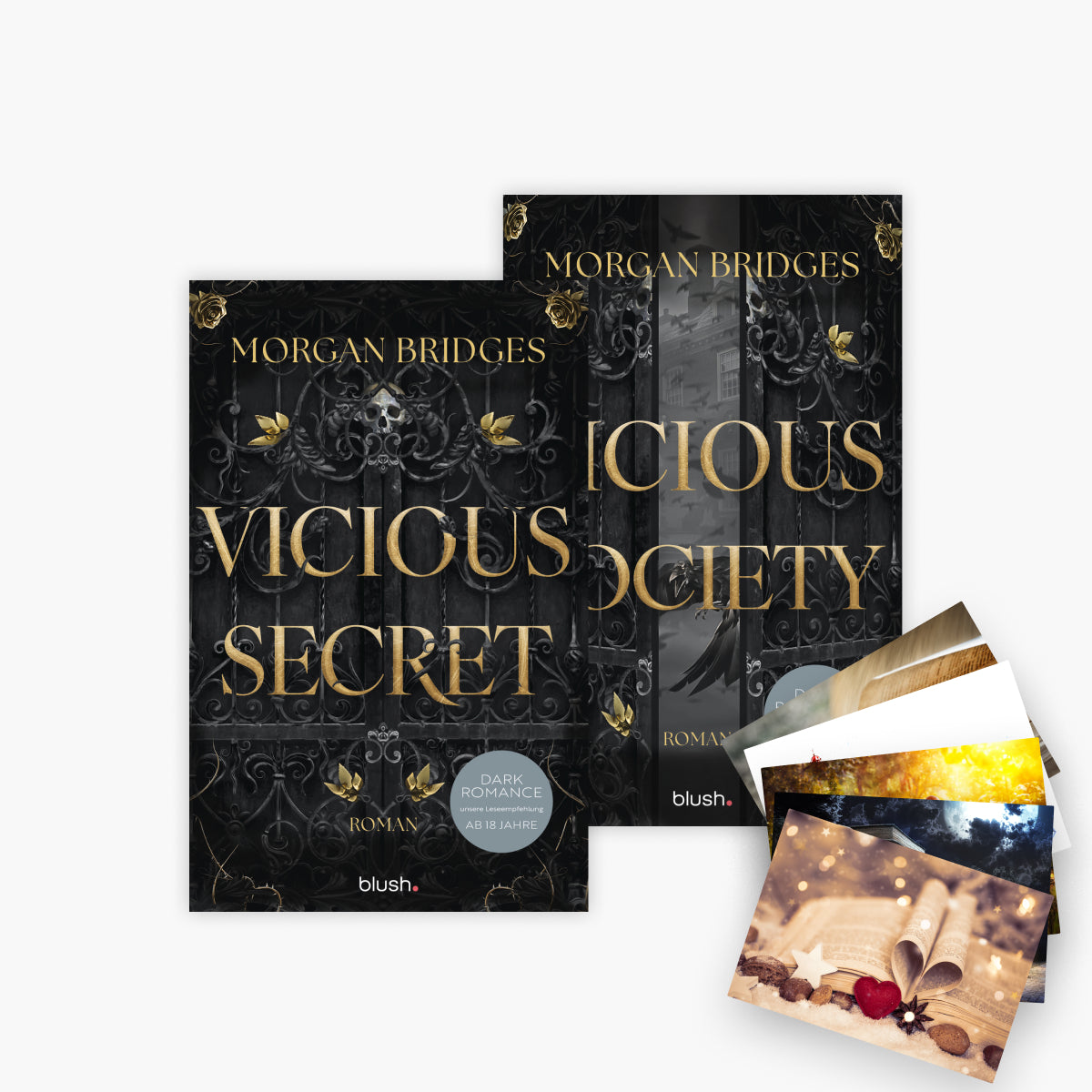Die Obsidian Order - Reihe Band 1+2 plus 1 exklusives Postkartenset ...
