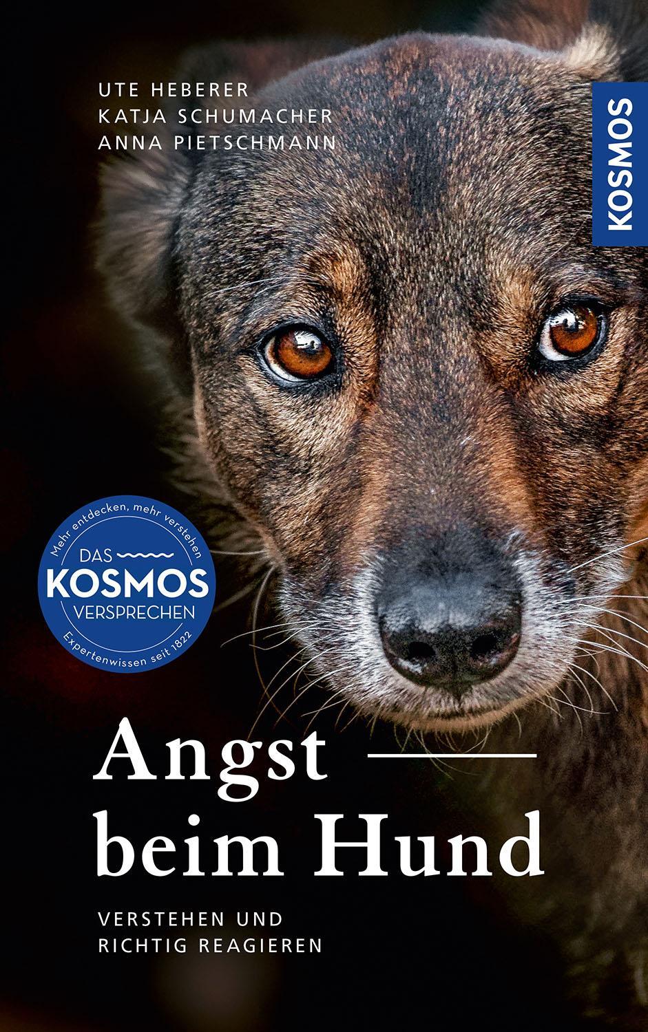 Angst beim Hund: Erkennen, verstehen und richtig reagieren – Buchserien.de
